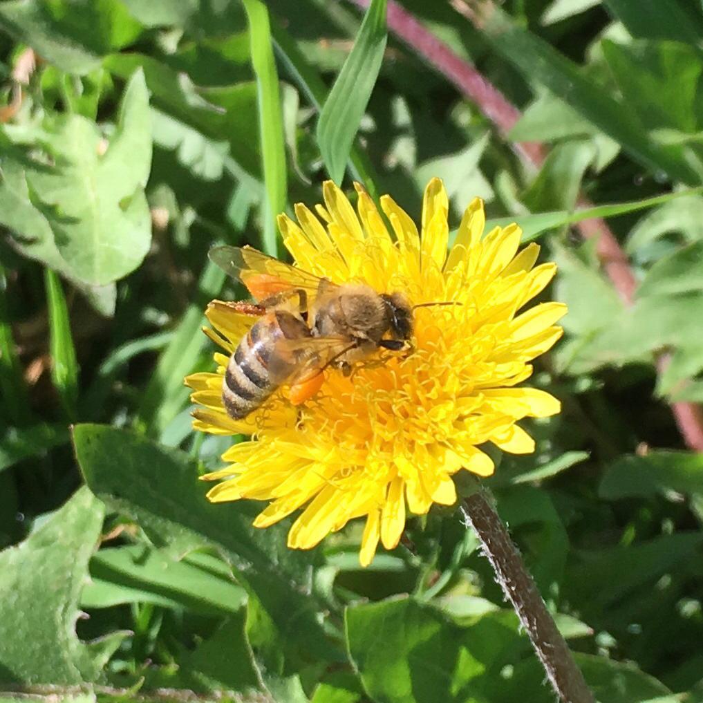 La biología: fotos e información sobre la naturaleza