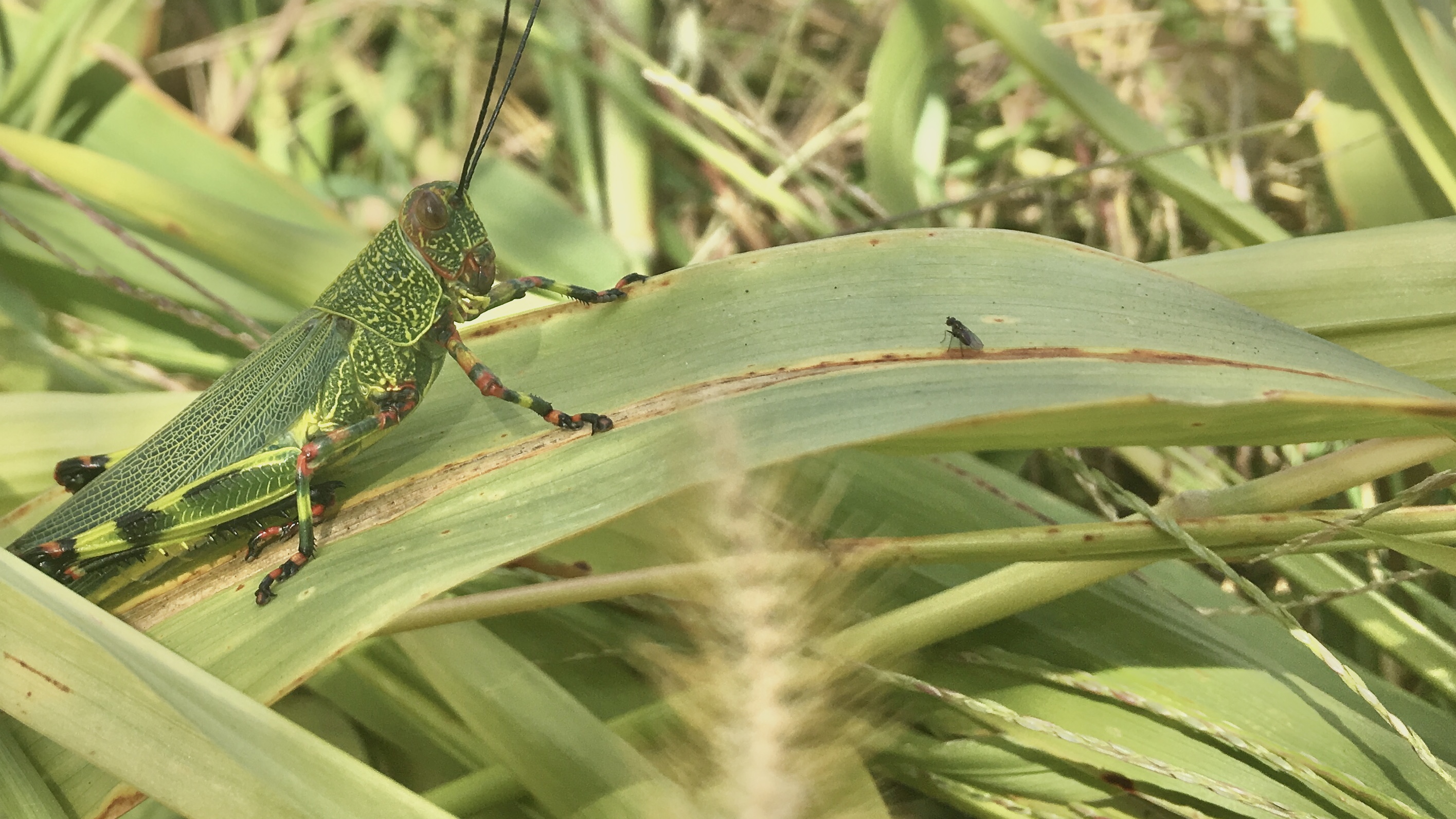 La biología: fotos e información sobre la naturaleza